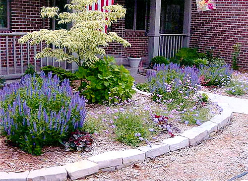 New Vistas Landscaping - Foundation Plantings 5